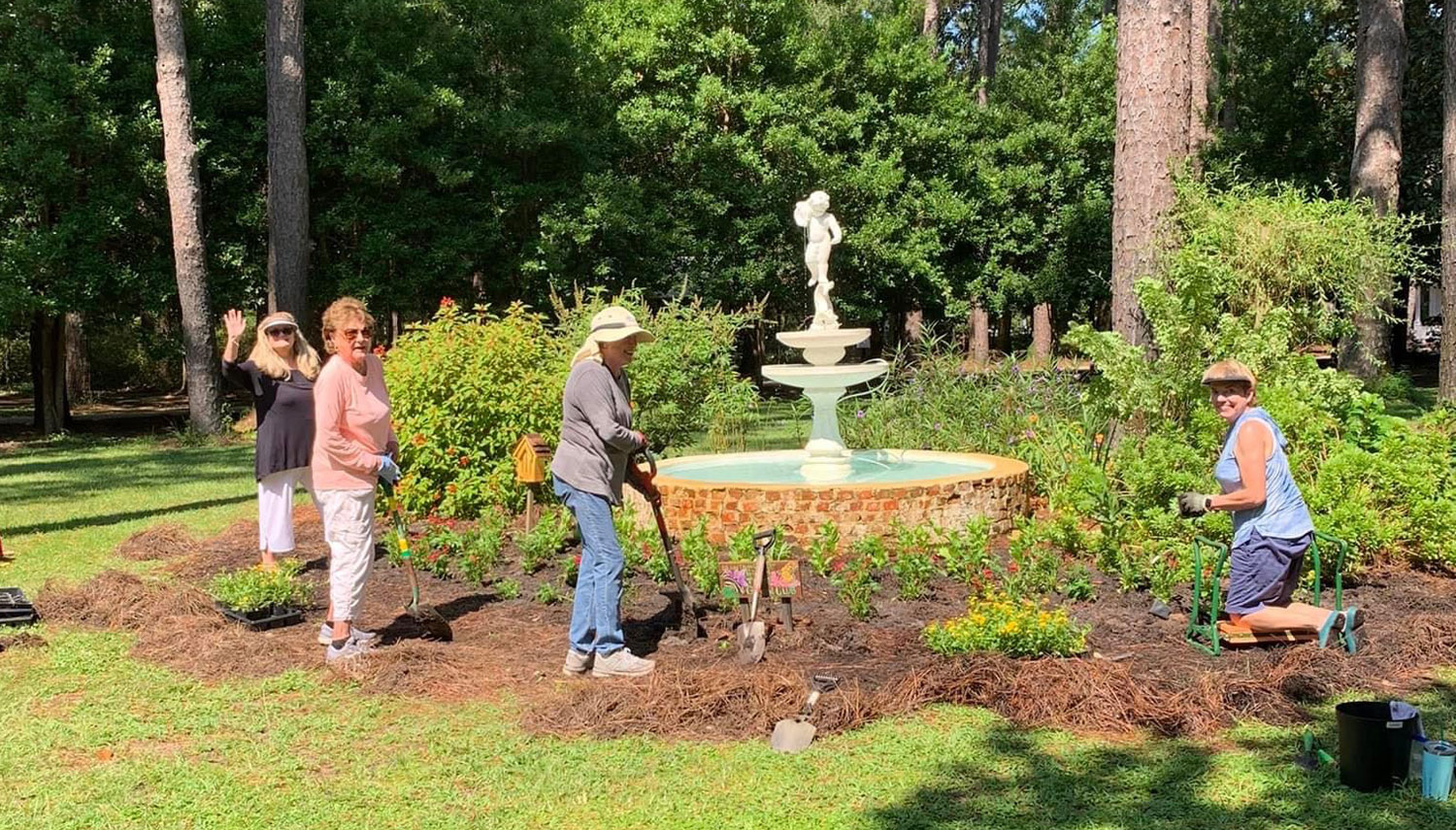 For the Love of Plants and Gardening | Green Thumb Garden Club, Inc.